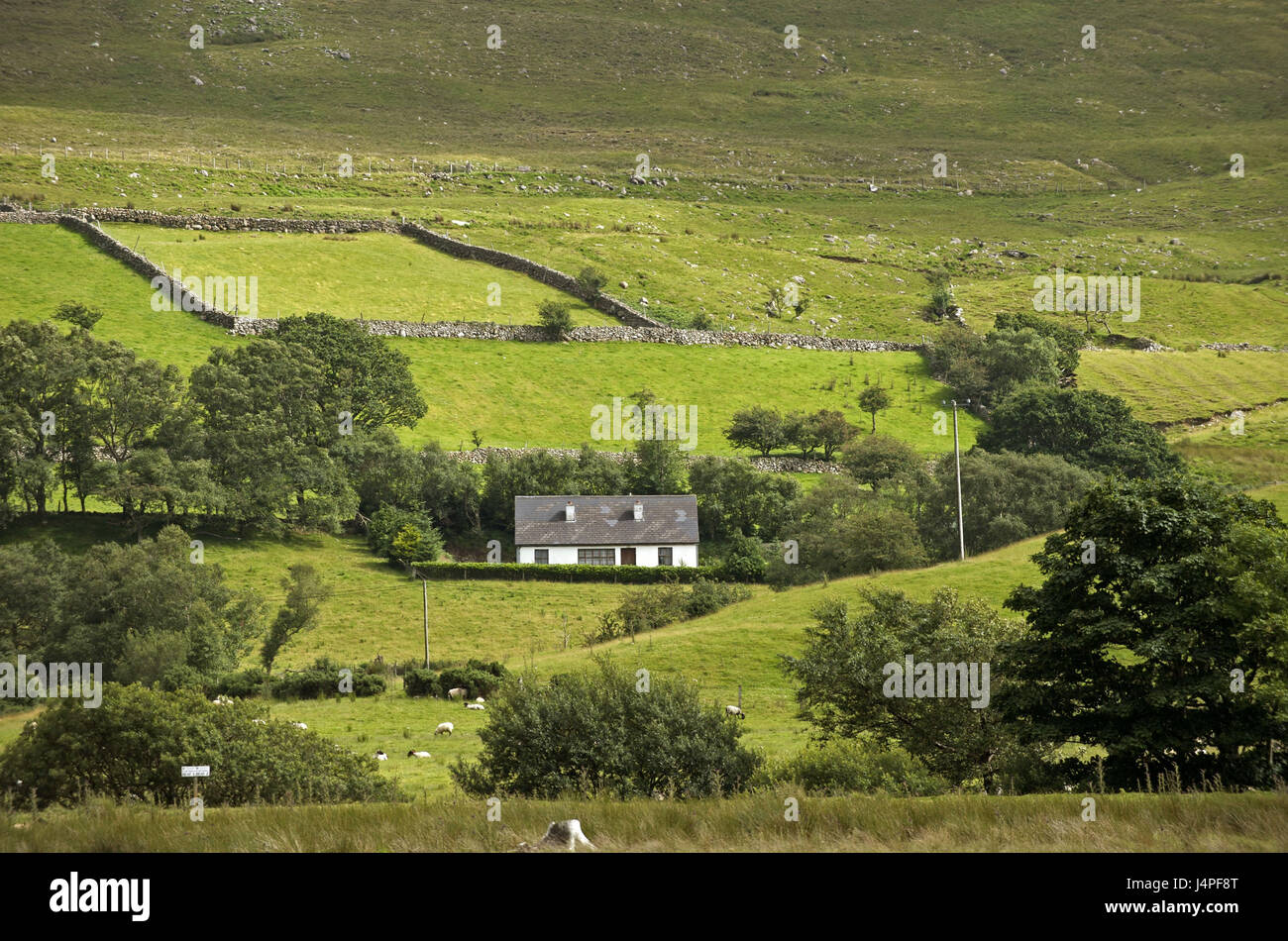 Ireland, Connacht, county Mayo, farm Stock Photo - Alamy