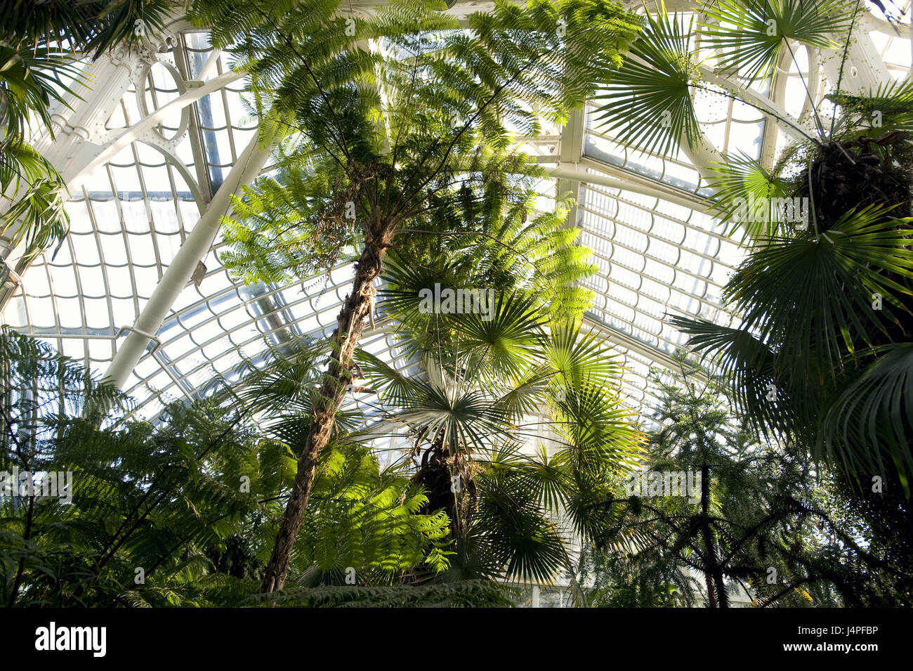 Inside castle grounds hi-res stock photography and images - Alamy