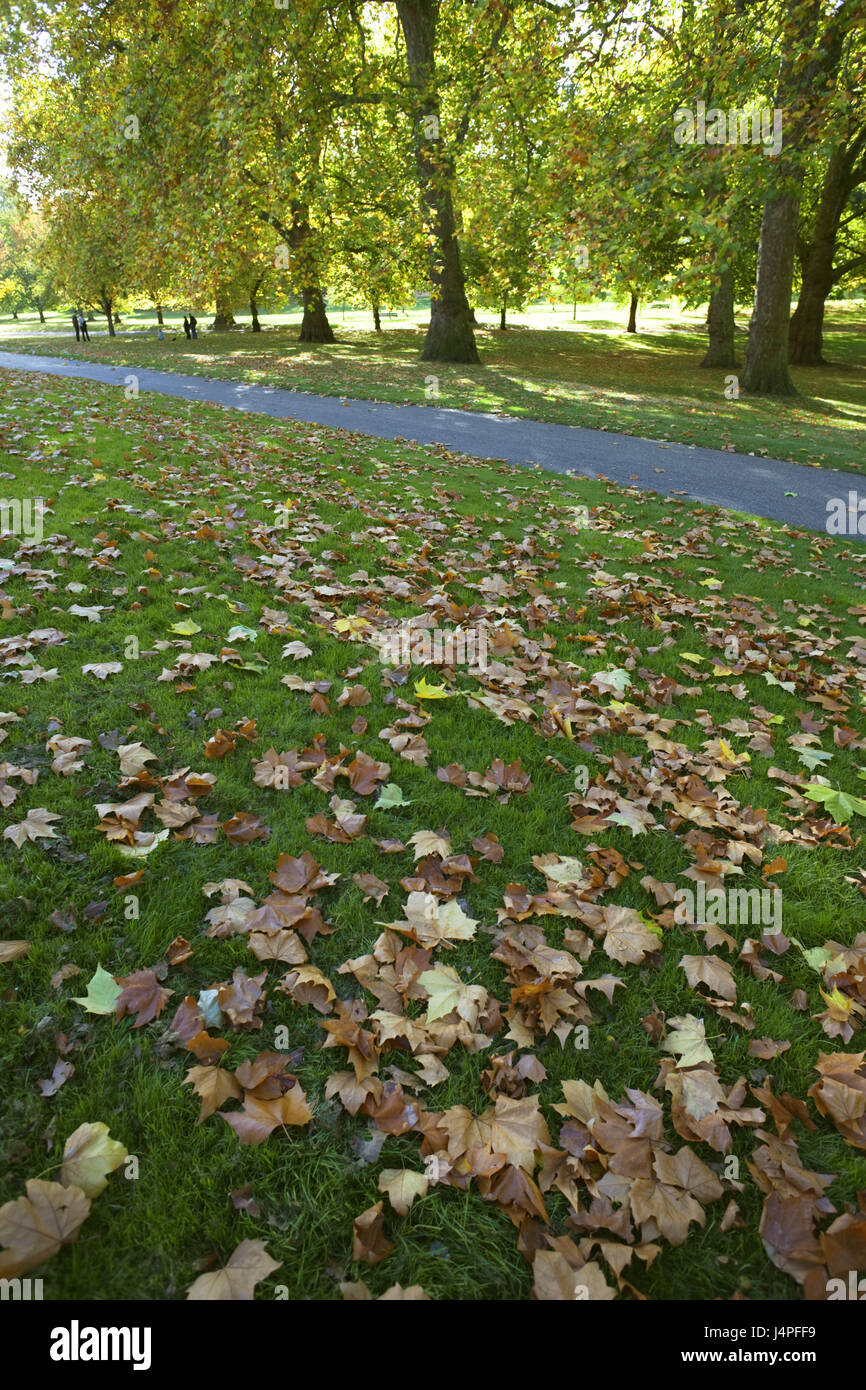 Autumn season great britain hi-res stock photography and images - Alamy