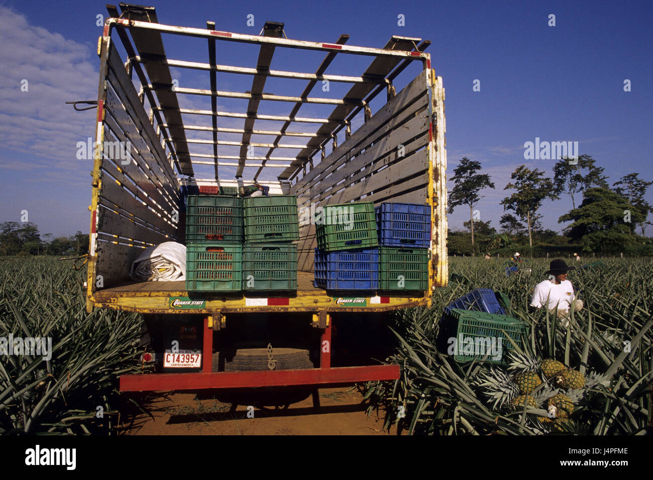 Costa Rica, Pital, truck, pineapple, transport Stock Photo - Alamy