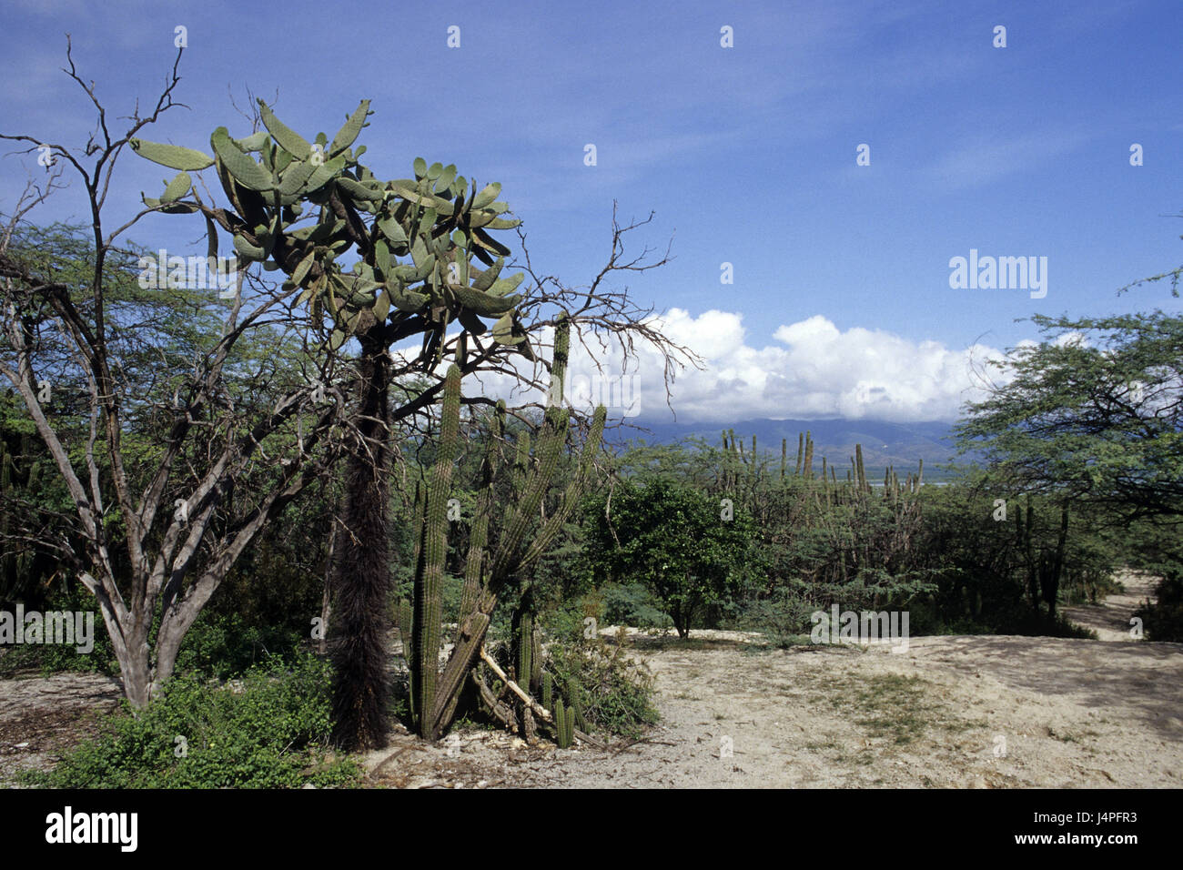 Parque nacional lago enriquillo hi-res stock photography and images - Alamy