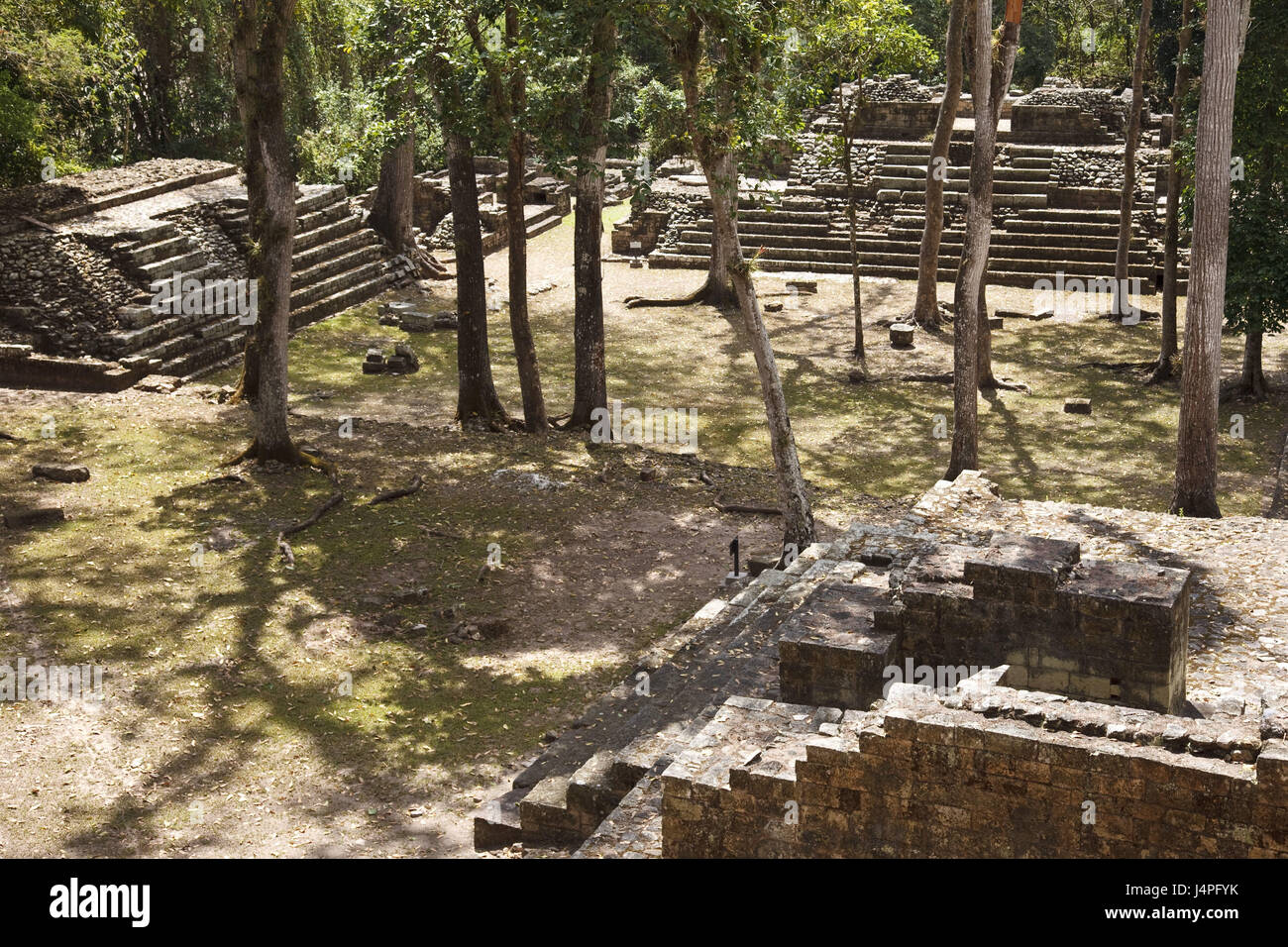 Honduras, Copan, excavation site Stock Photo - Alamy