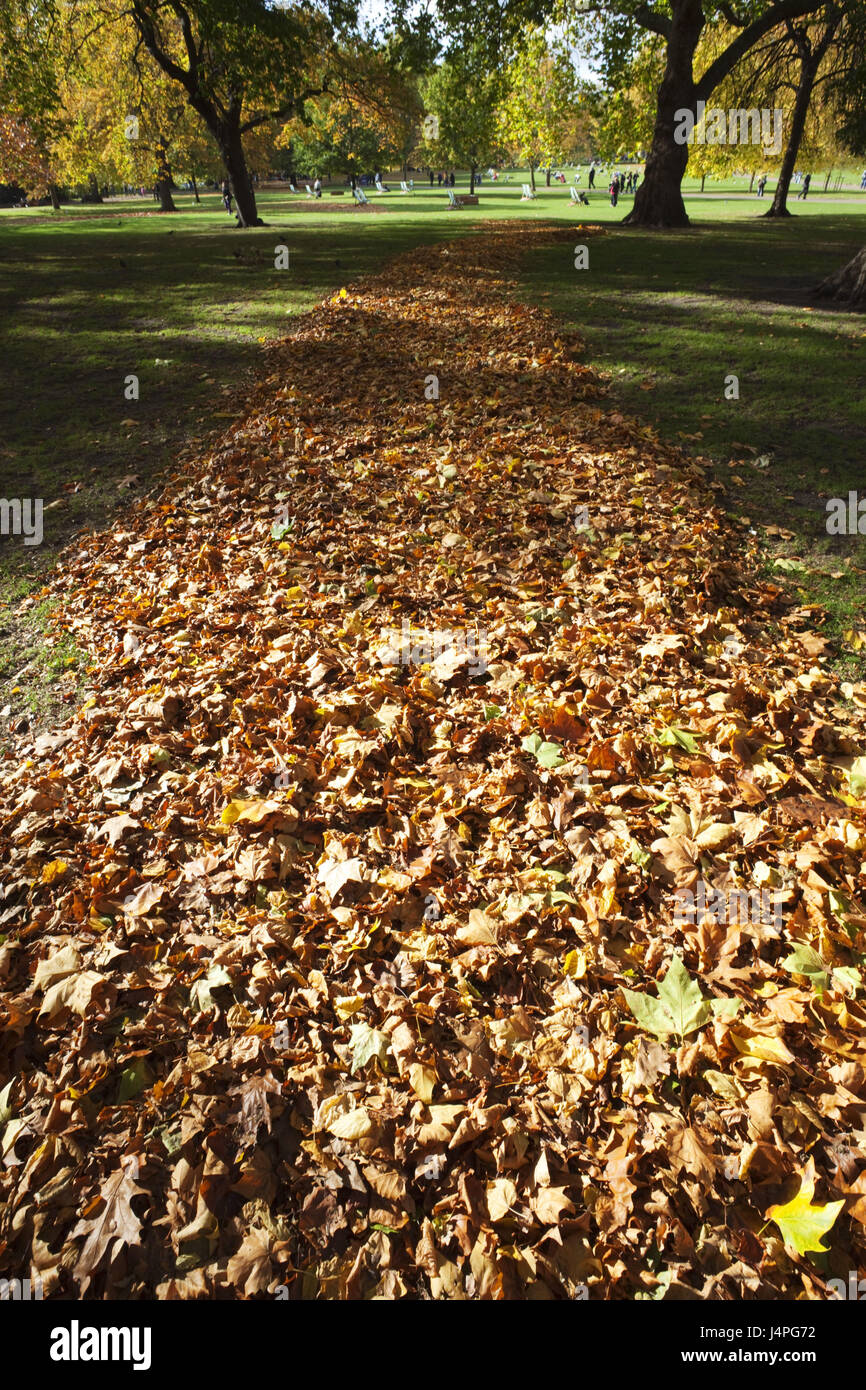 Great Britain, England, London, St. of James park, autumn foliage Stock ...
