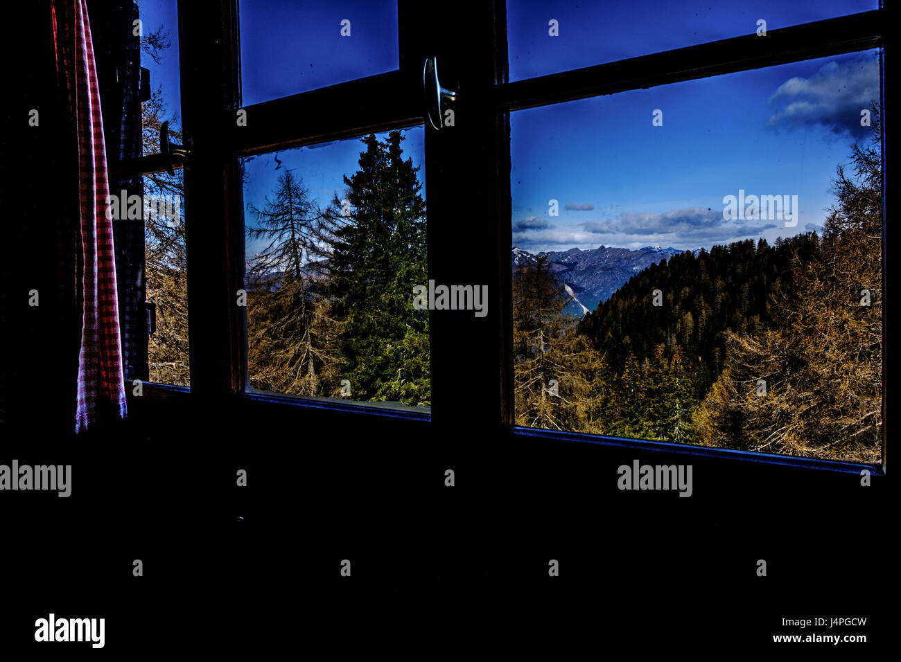 Panoramic view green forest close hi-res stock photography and images ...