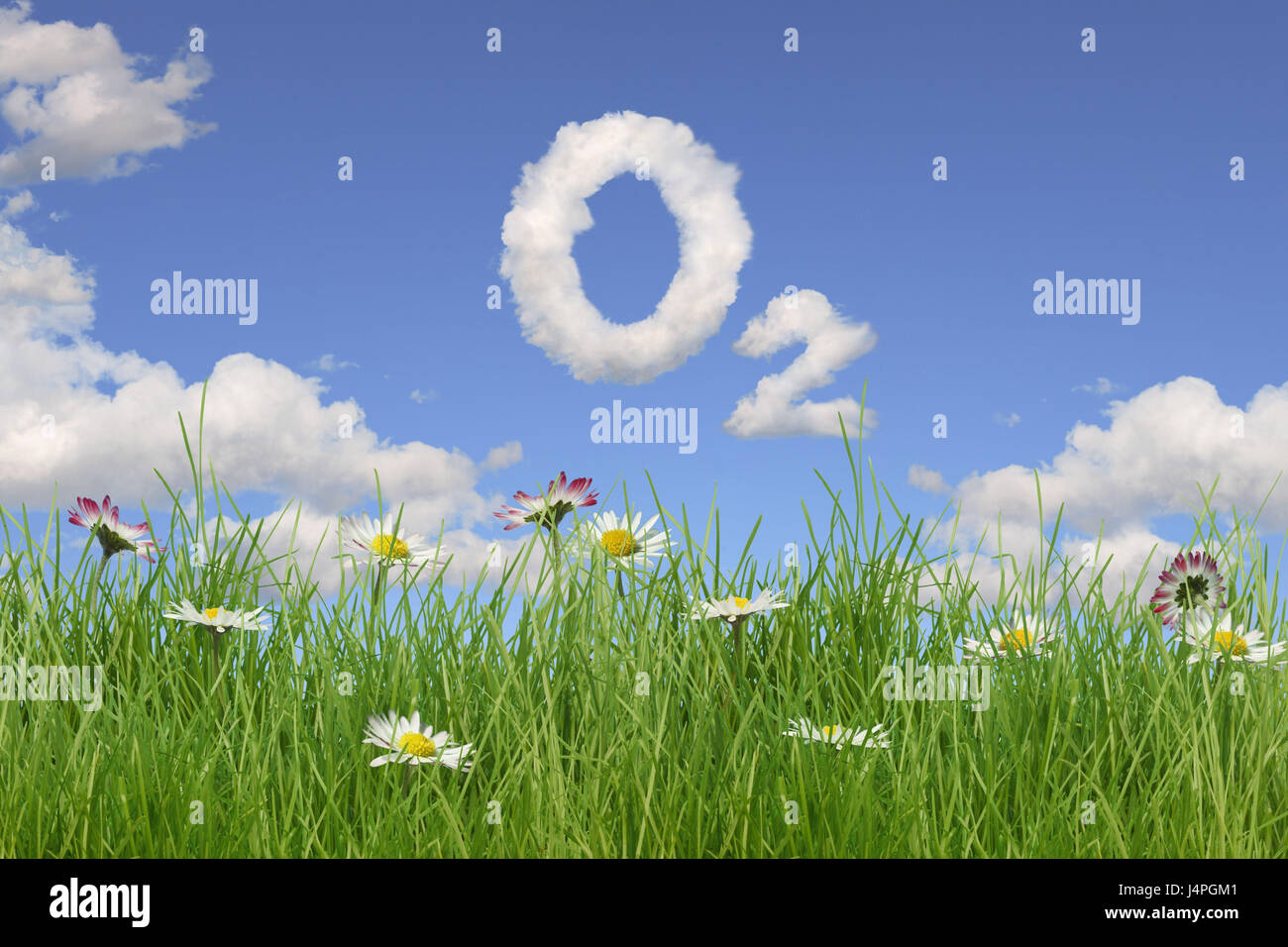 Flower way, cloudy sky, cloud formation, O2 Stock Photo - Alamy