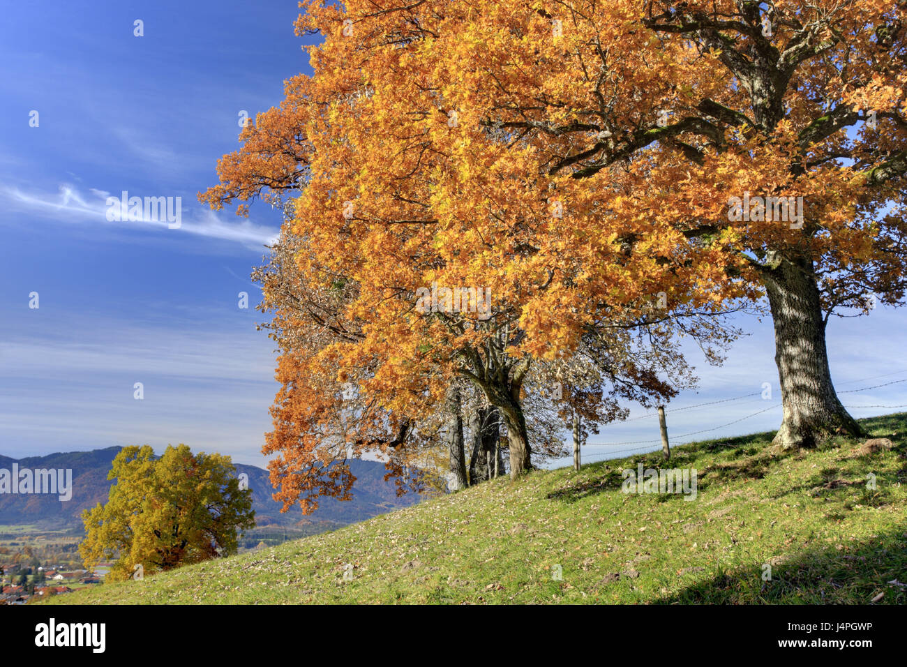 Germany, Bavaria, Upper Bavaria, priest's angle, blue country, Ohlstadt ...