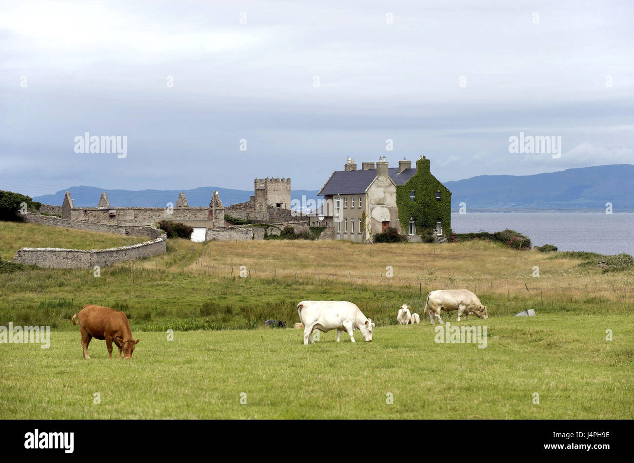 Leitrim lodge hi-res stock photography and images - Alamy
