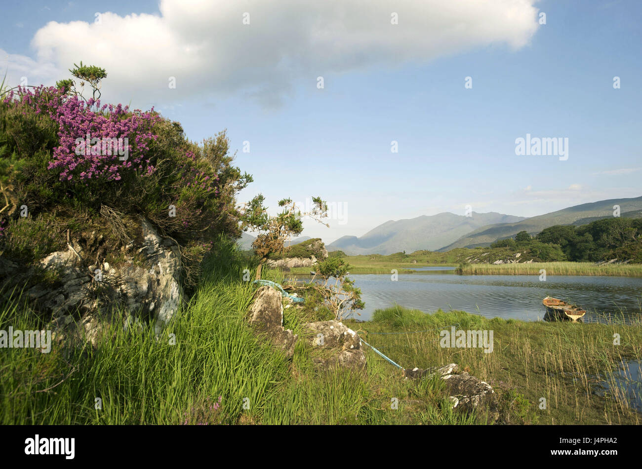 Ireland, Munster, county Kerry, Killarney national park, Lough Leane ...