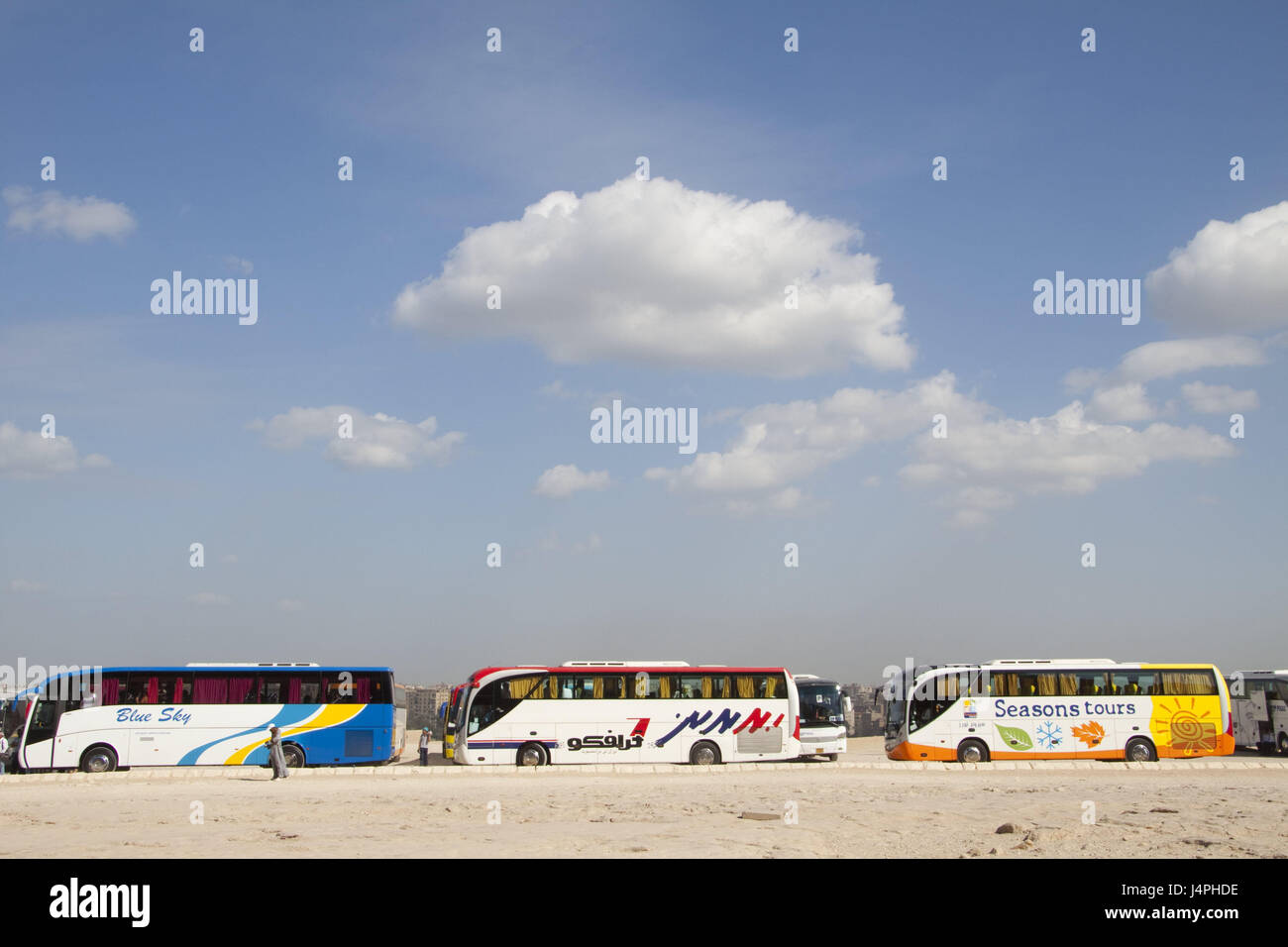 Egypt, Cairo, tour buses, desert, places of interest, tourists, tourism ...