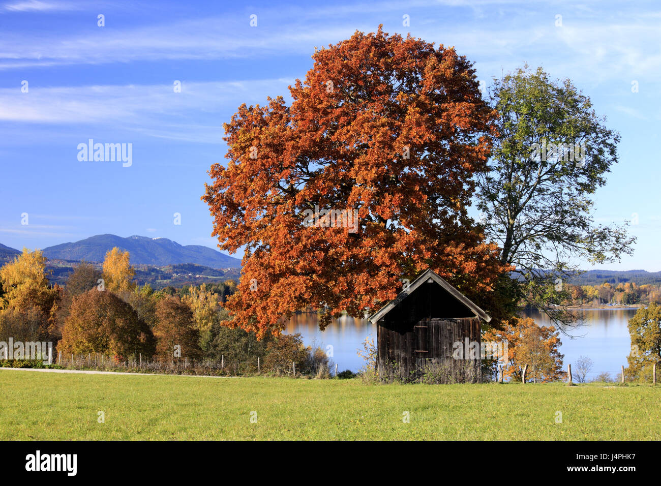 Germany, Bavaria, Upper Bavaria, priest's angle, blue country, series ...