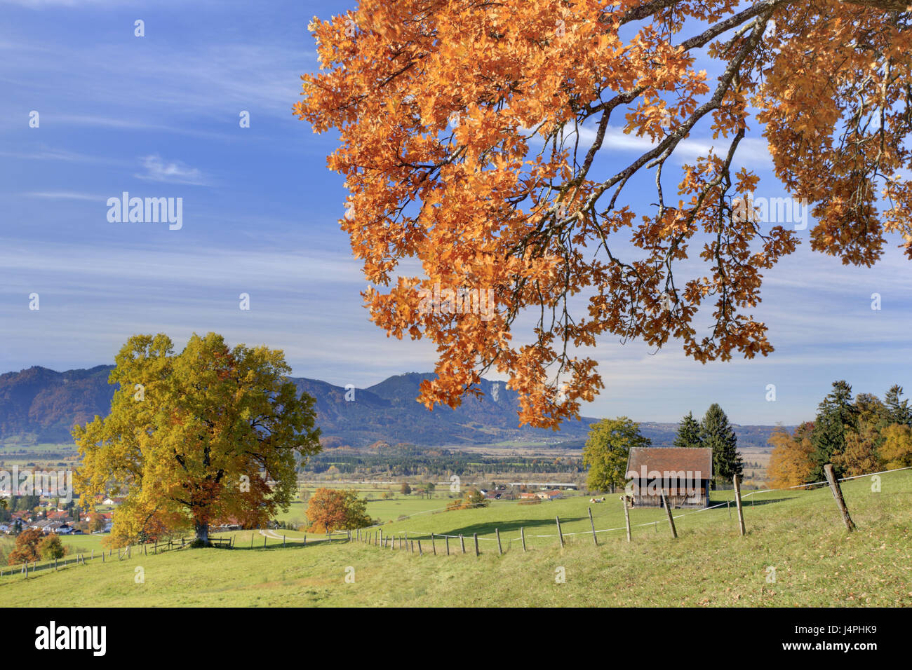 Germany, Bavaria, Upper Bavaria, priest's angle, blue country, Murnauer ...