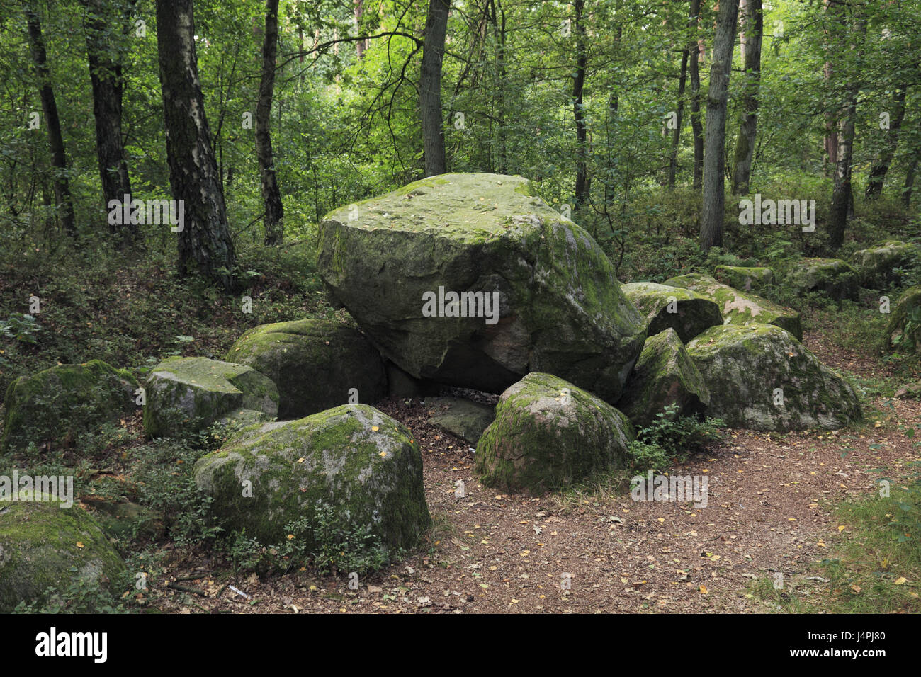 Germany, Lower Saxony, velvet parish of Freren, megalithic tomb, Alt ...