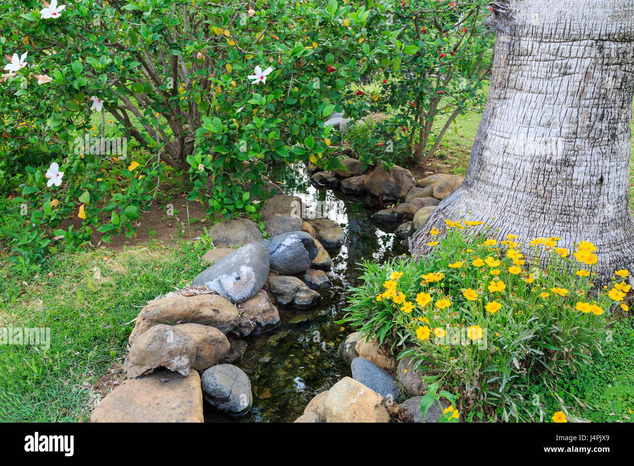 Small creek with flowers and tree Stock Photo - Alamy