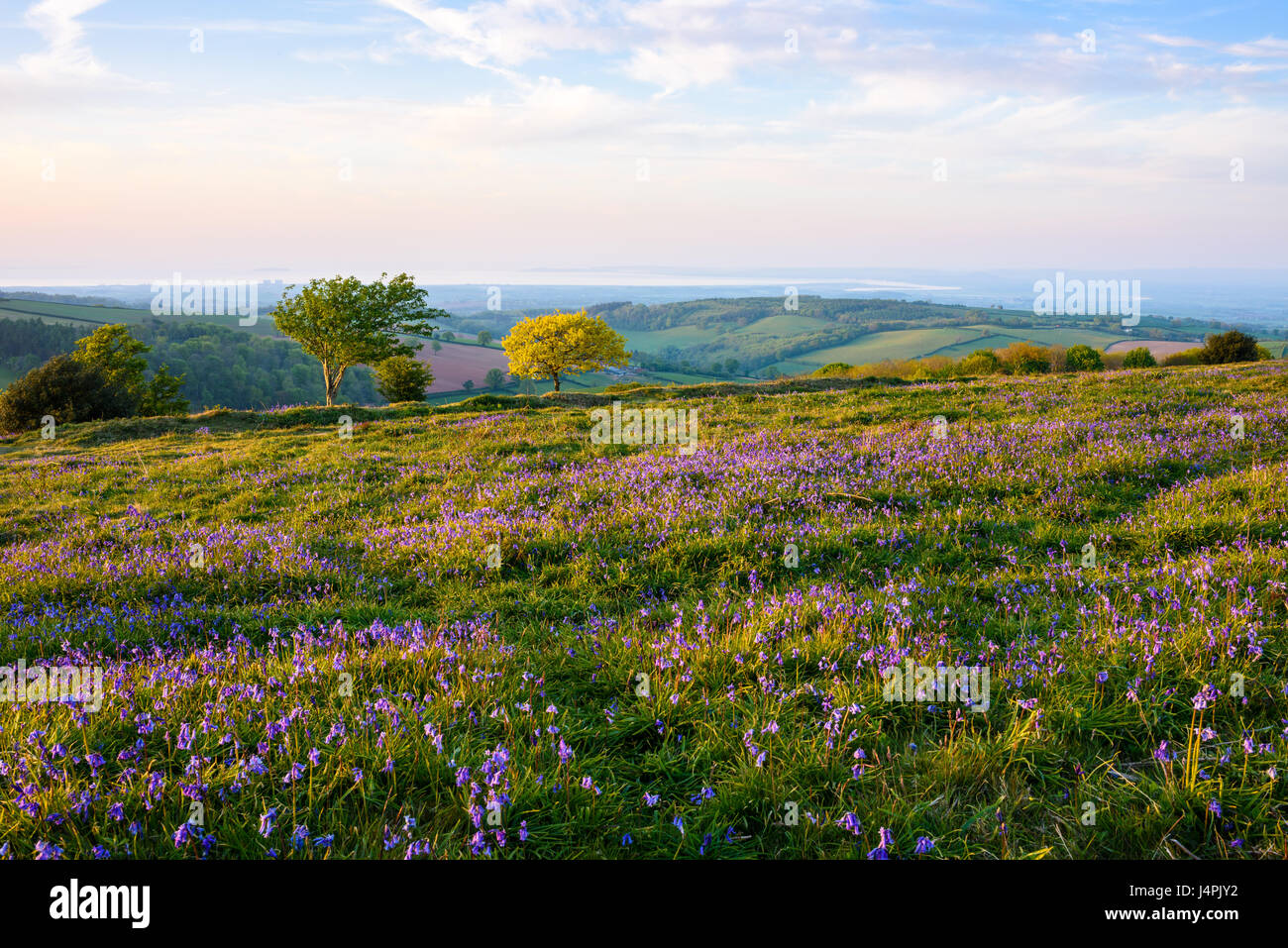 Quantocks hi-res stock photography and images - Alamy