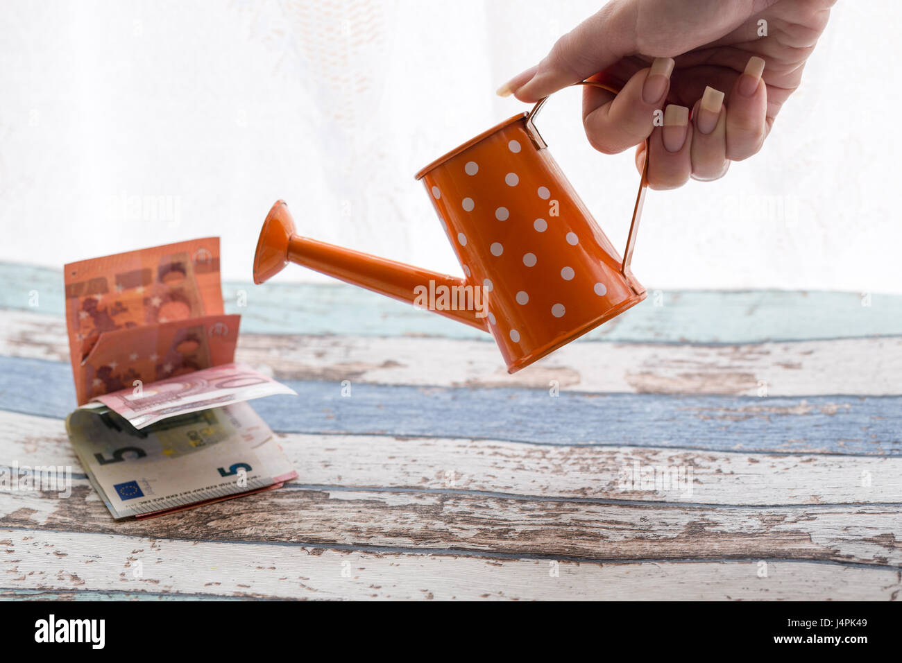 Money plant euros hi-res stock photography and images - Alamy