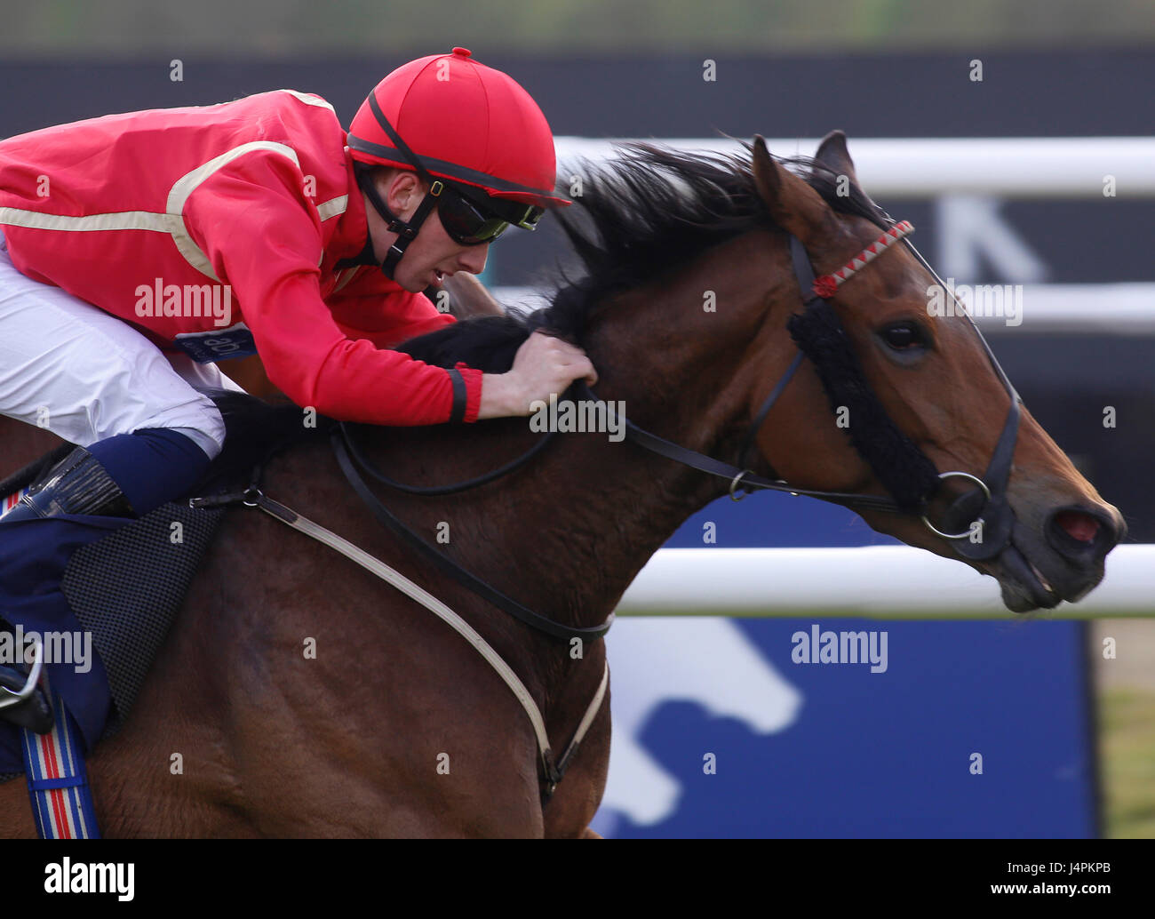 Edward greatrex hi-res stock photography and images - Alamy