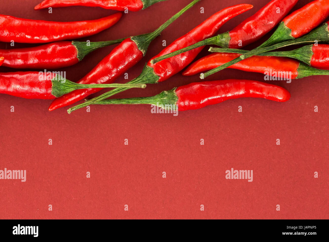 red hot chili peppers, popular spices concept - close-up on a beautiful ...