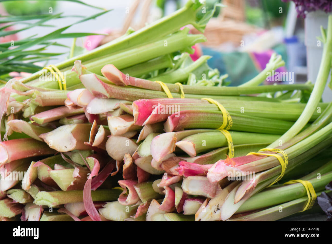 Garden farming hi-res stock photography and images - Alamy