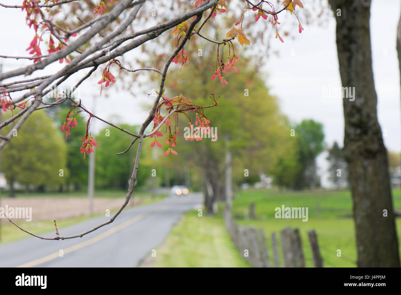 Heaven road hi-res stock photography and images - Alamy