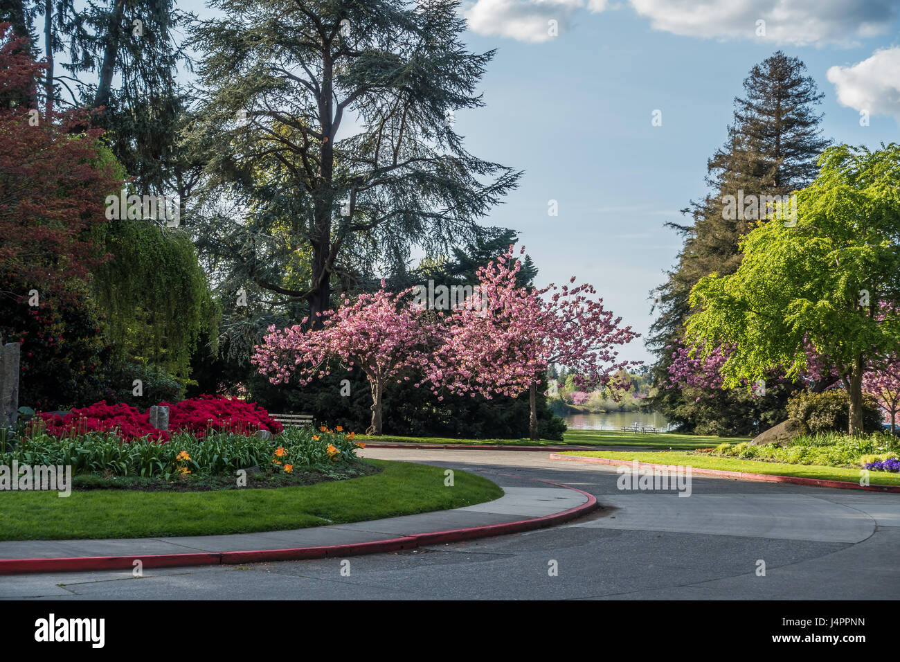 A view of Spring flowers near the entrance to Seward Park in Seattle ...