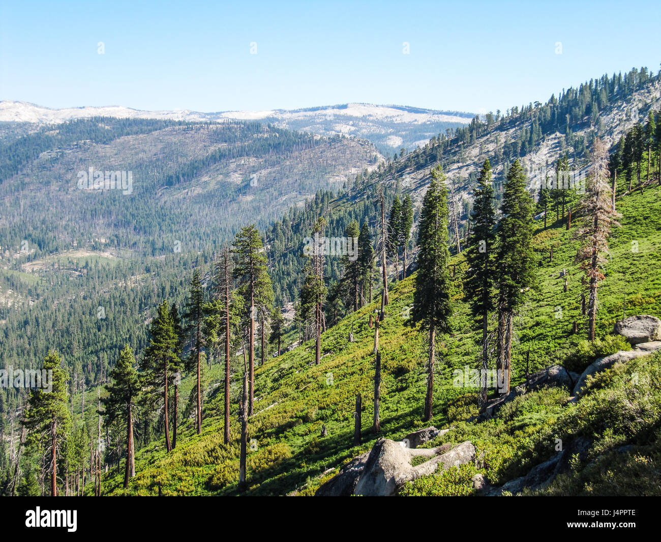 Aerial view of landscape during summer in Yosemite National Park with ...