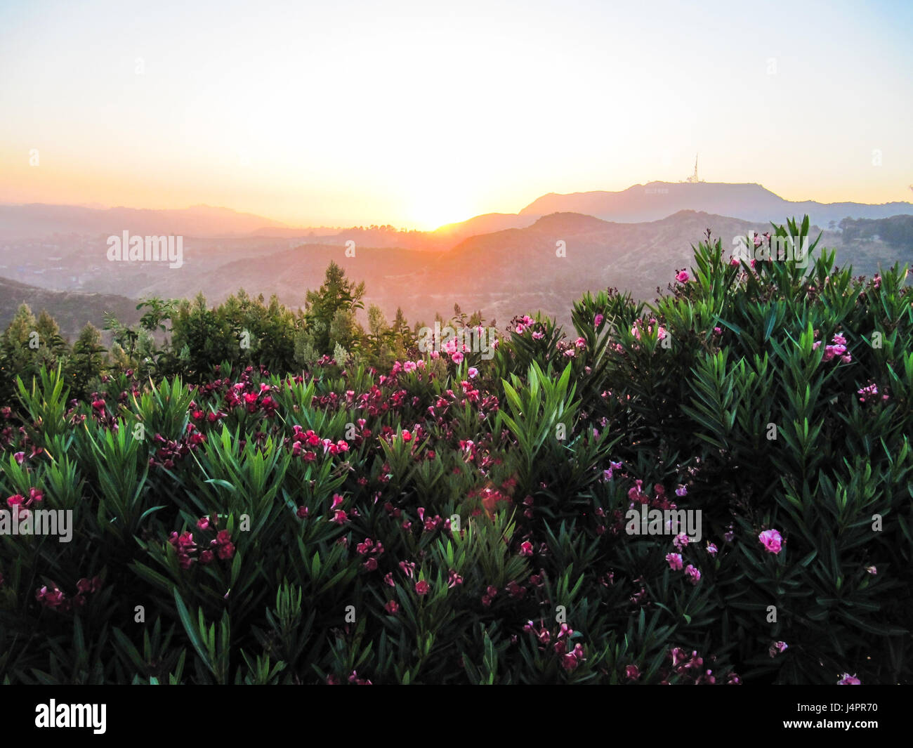 Hollywood hills sign sunrise hi-res stock photography and images - Alamy