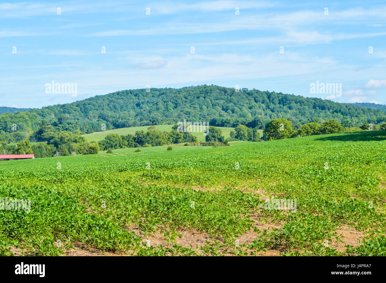 Rural virginia in summer hi-res stock photography and images - Alamy