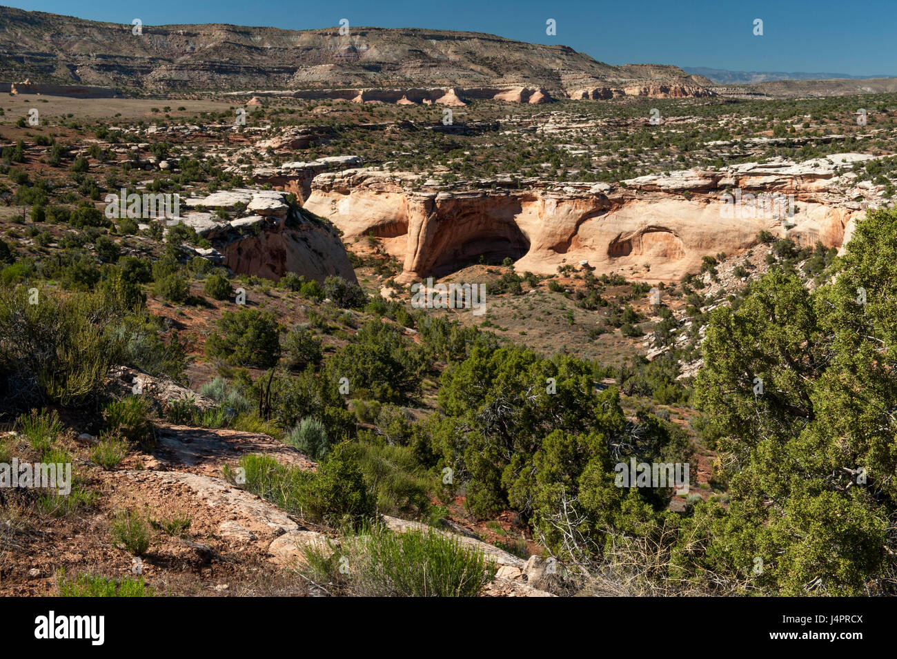The view back toward the entrance from the campground at the end of the ...