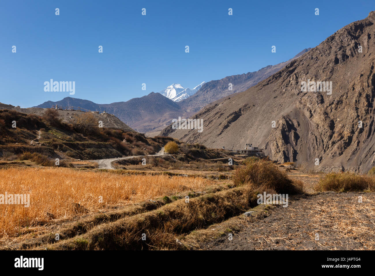 Rural fields, Nepal Stock Photo - Alamy