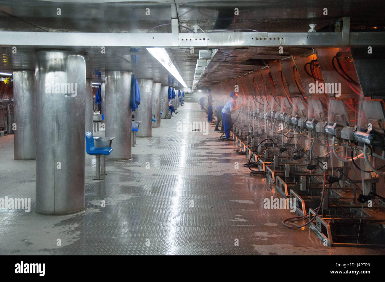 Suez Canal Corridor, Egypt - The new global expansion of China through ...