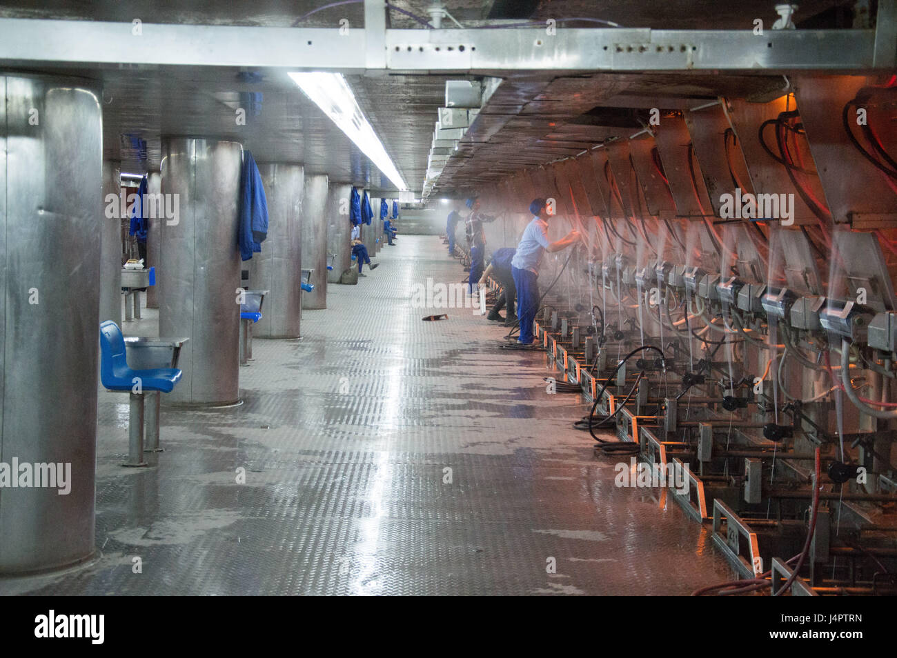 Teda suez hi-res stock photography and images - Alamy