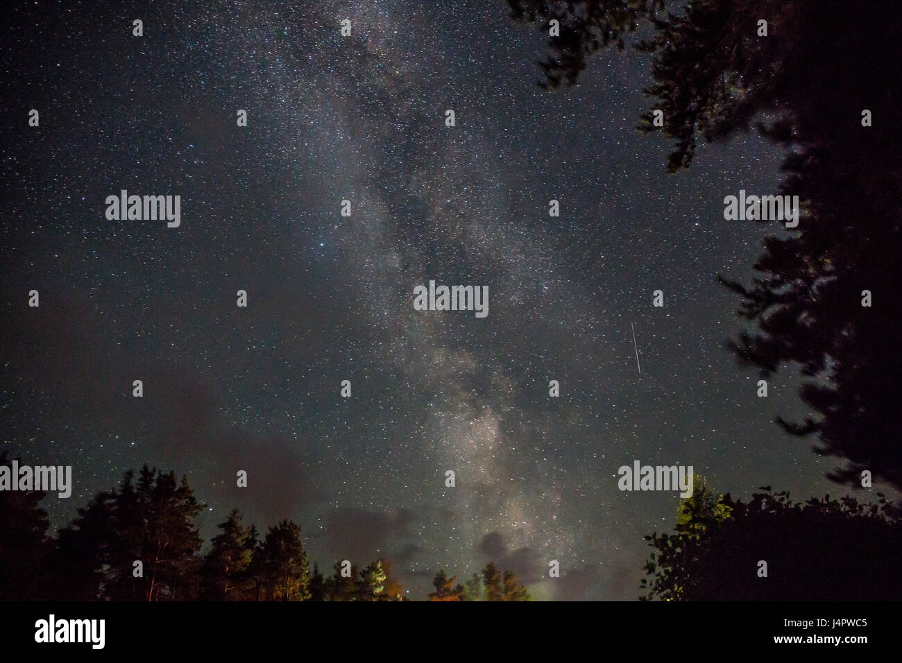 Night starry sky beautiful scene with trees Stock Photo - Alamy