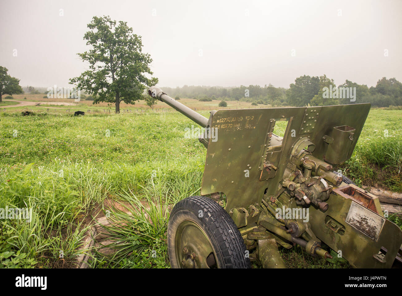 World war two soviet military cannon on position Stock Photo - Alamy