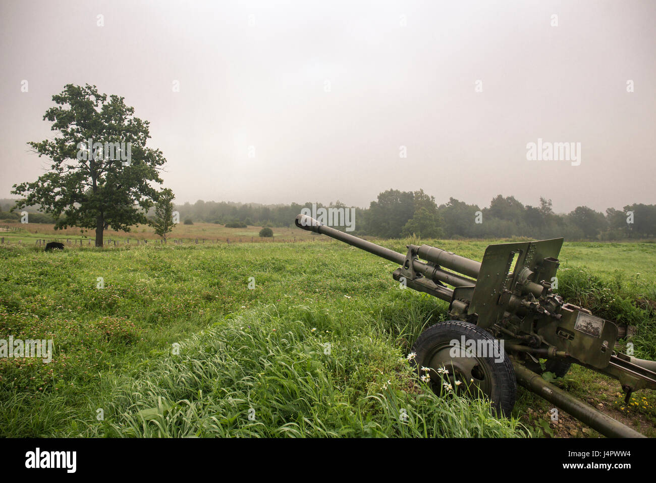 World war two soviet military cannon on position Stock Photo - Alamy