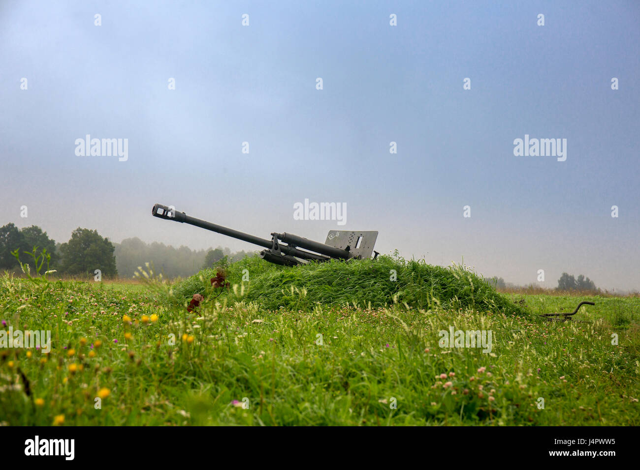 World war two soviet military cannon on position Stock Photo - Alamy