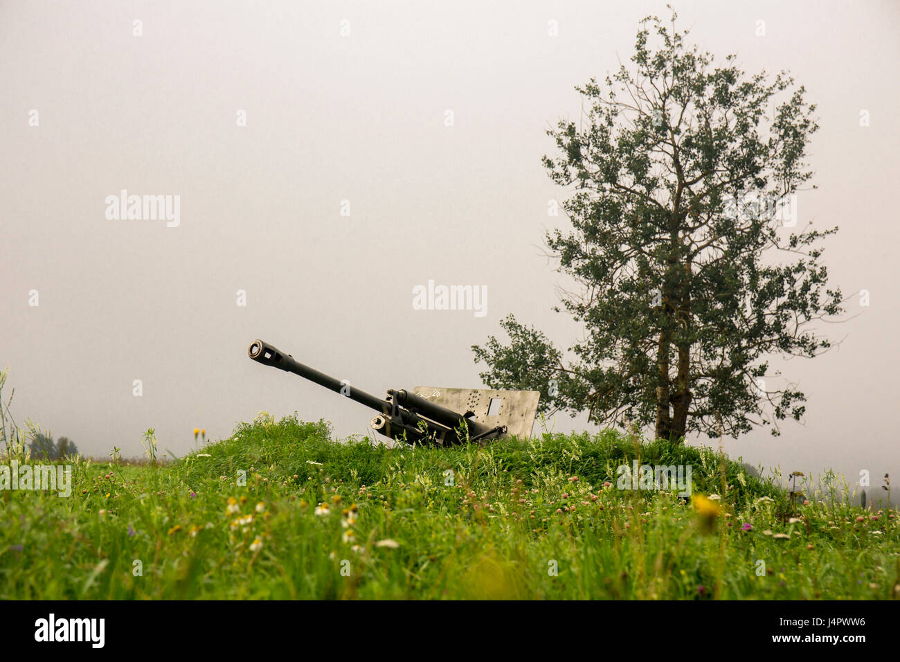 World war two soviet military cannon on position Stock Photo - Alamy