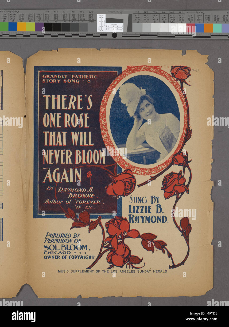 The image titled 'There's one rose that will never bloom again ...