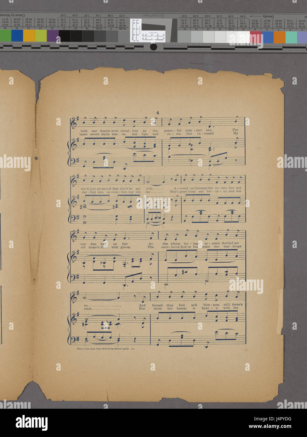 'There's one rose that will never bloom again' is a literary reference ...