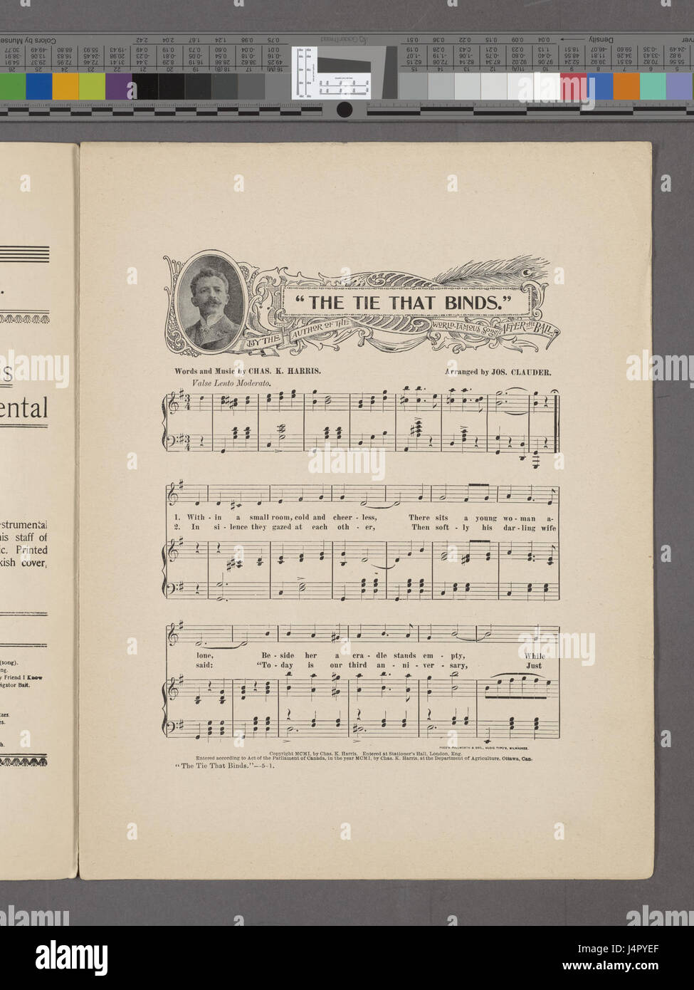 *The Tie that Binds* is a work that examines the connection between ...