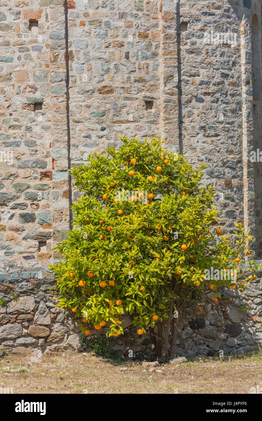 Noli san paragorio church hi-res stock photography and images - Alamy