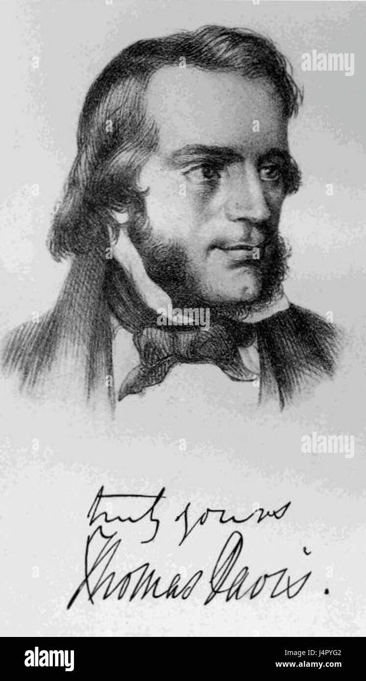 Thomas Davis was a key figure in the Young Ireland movement ...