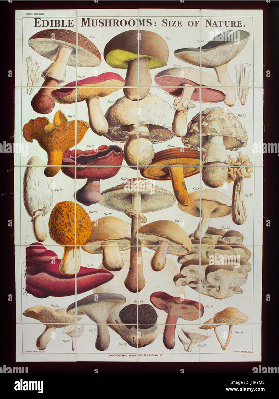 Worthington map hi-res stock photography and images - Alamy