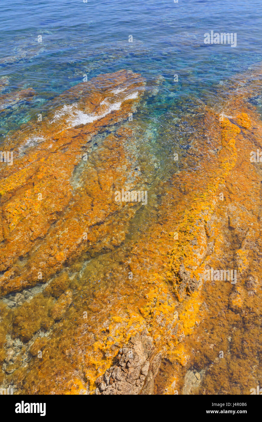 Colorful natural texture with blue sea and yellow rocks close up view ...
