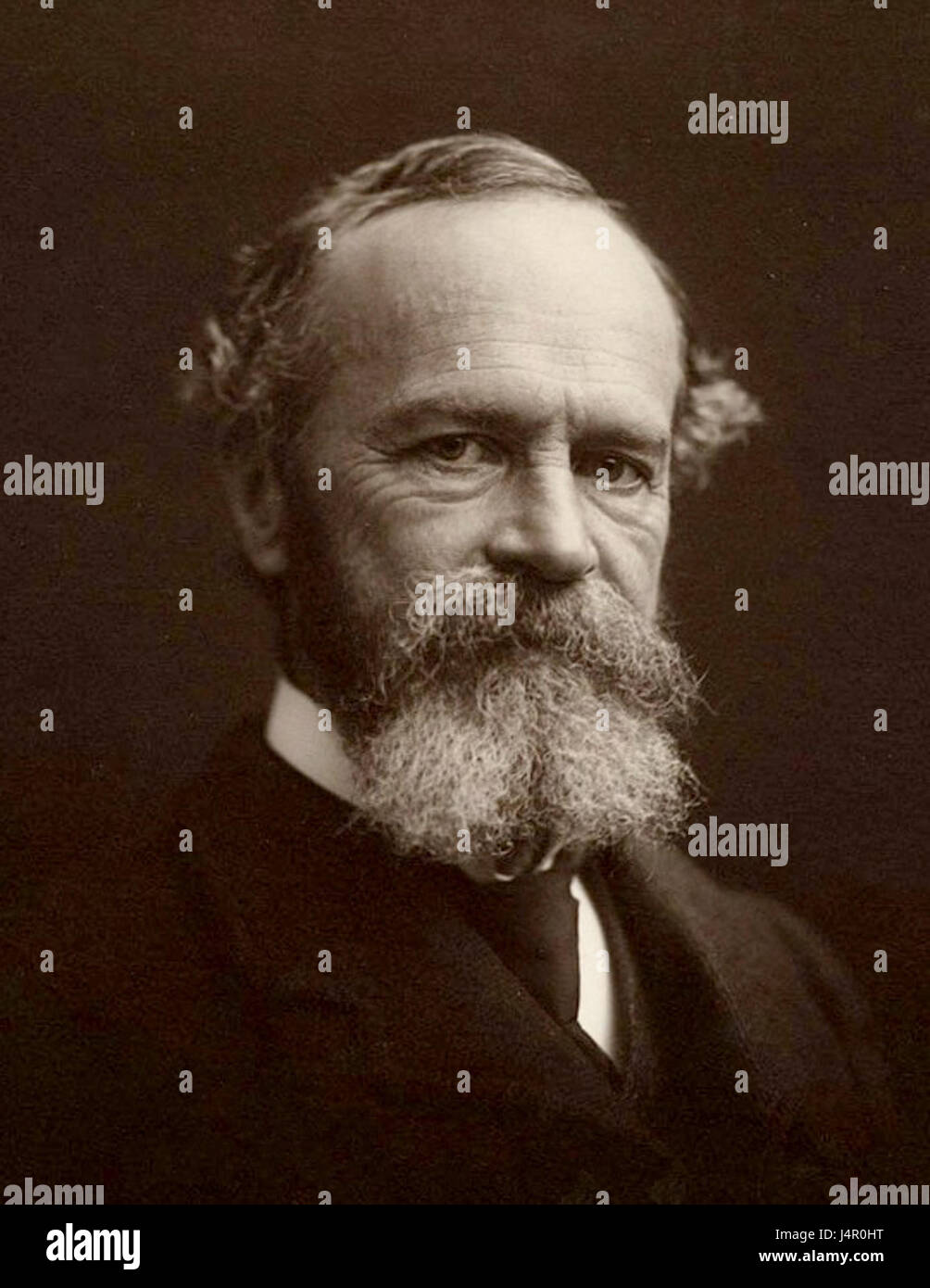 William james hi-res stock photography and images - Alamy