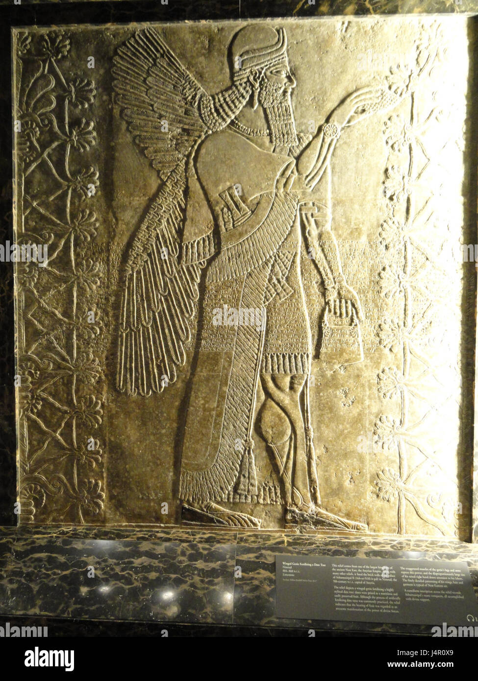 Winged genie fertilizing a date tree, Palace of Ashurnasirpal II ...