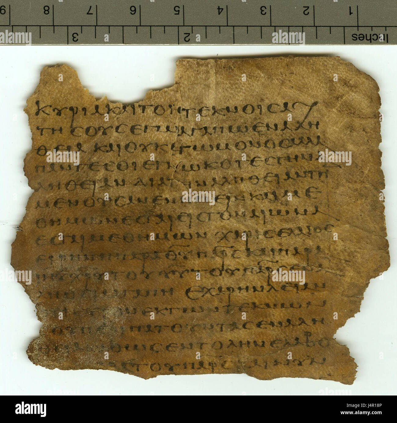 Recto manuscript hi-res stock photography and images - Alamy