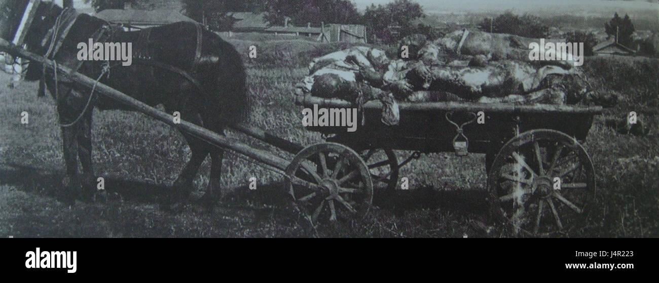 Victims of red terror buried by military forces of southern Russia ...