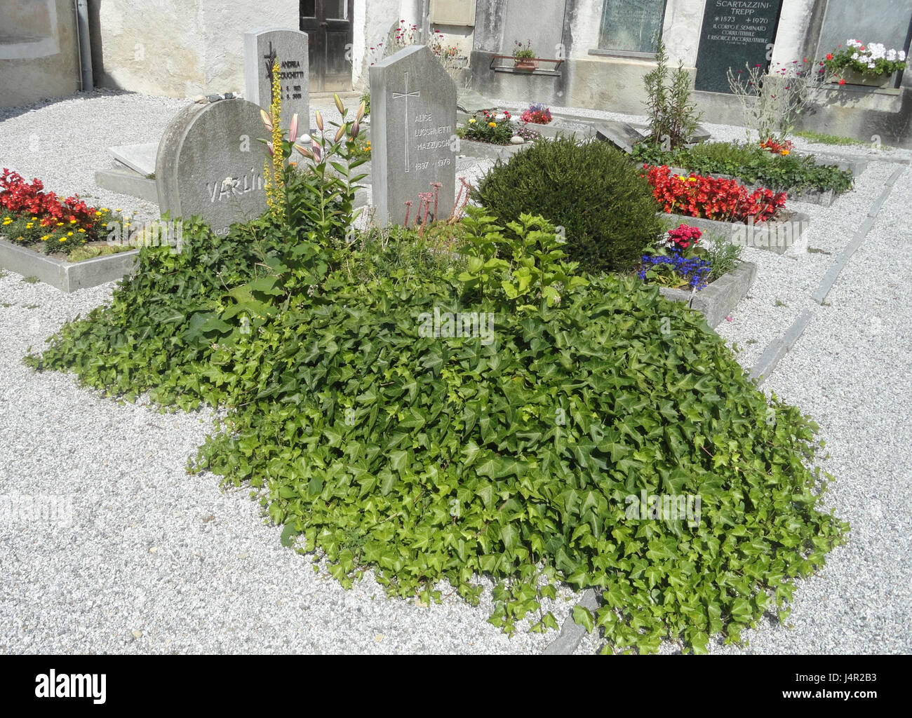 'Varlin Grab' refers to a work or document by Swedish artist Varlin ...