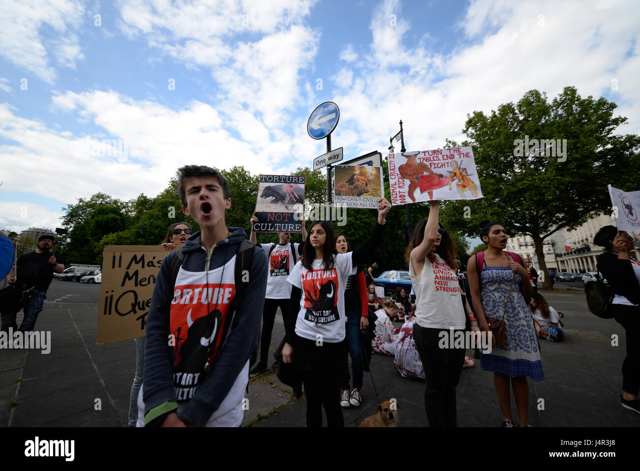 Bullfighting protest hi-res stock photography and images - Alamy