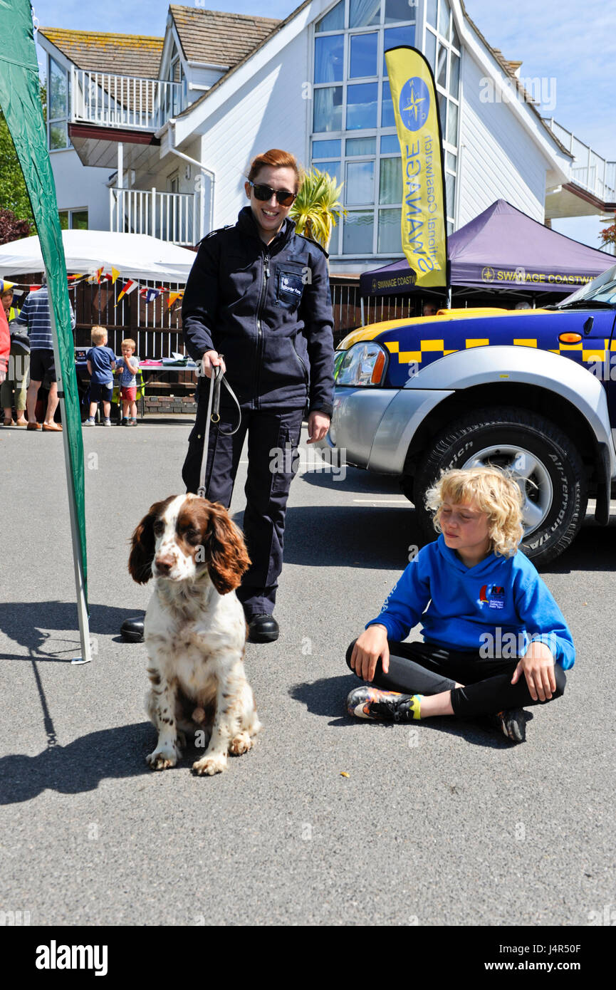 Uk boarder force dog hi-res stock photography and images - Alamy